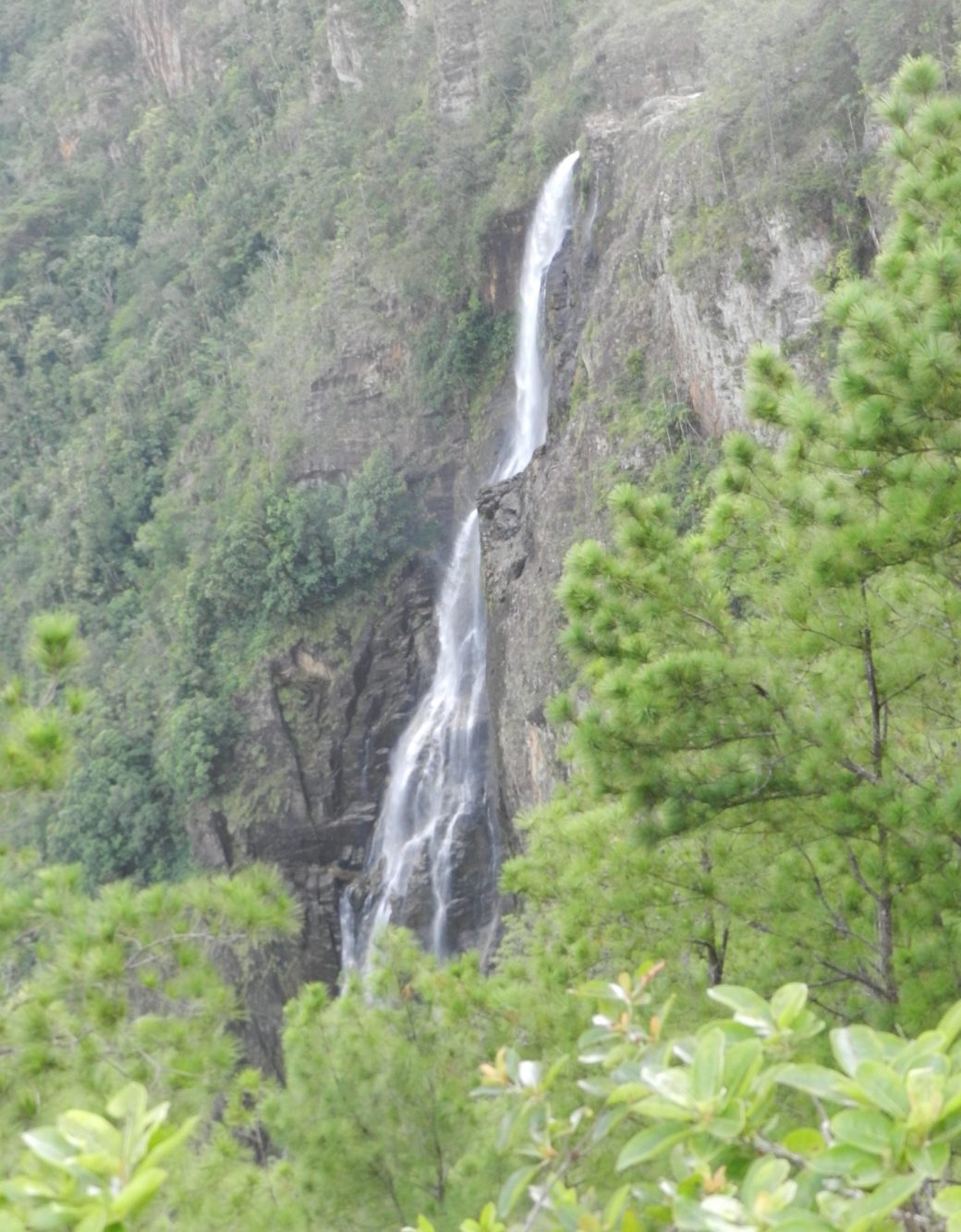 Belize jungle vacation - Lucky Dreamer Lodge Blog